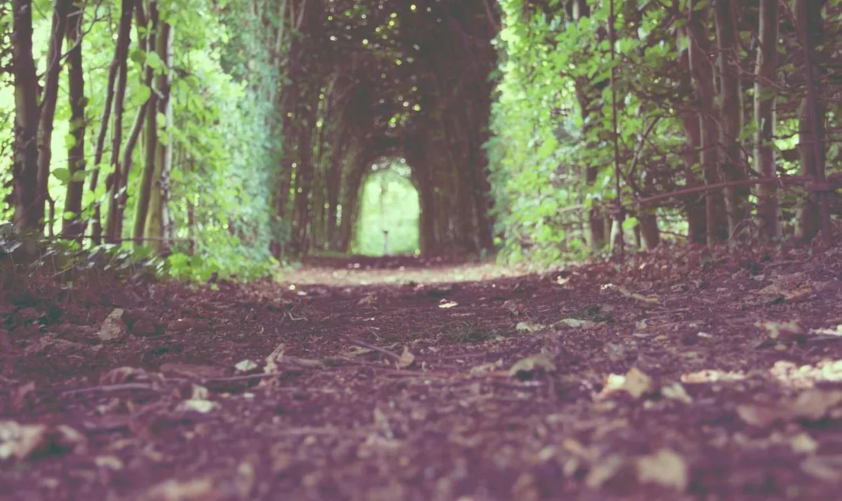 Mixflow.AI - The #1 AI Platform for everyone!