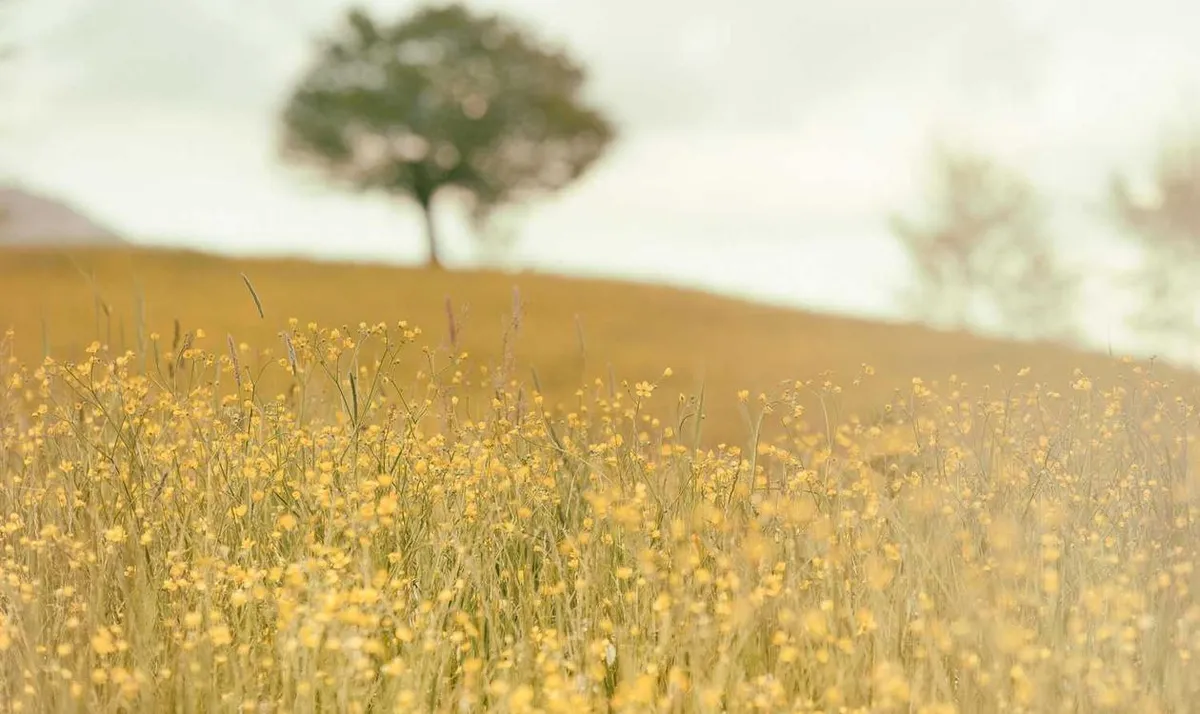 Mixflow.AI - The #1 AI Platform for everyone!