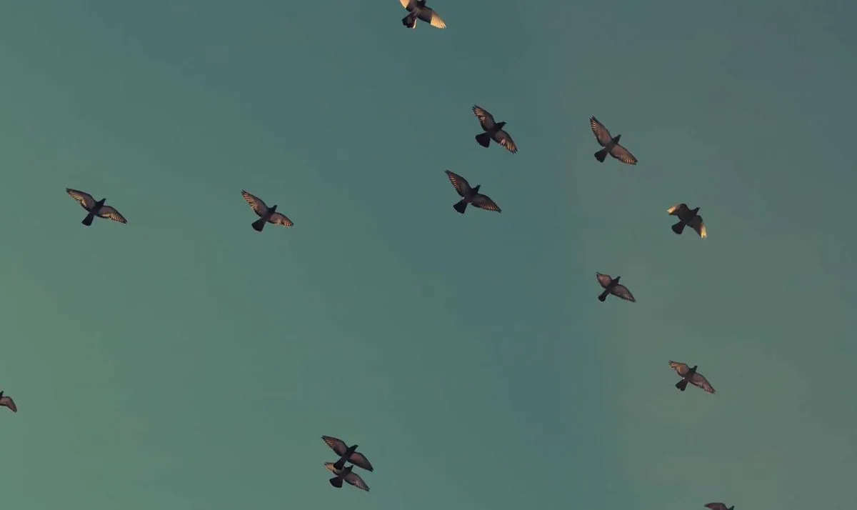 Mixflow.AI - The #1 AI Platform for everyone!