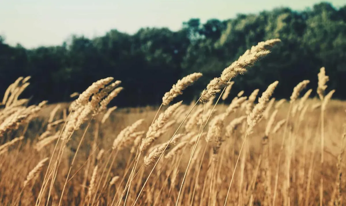 Mixflow.AI - The #1 AI Platform for everyone!