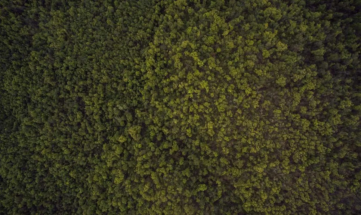 Mixflow.AI - The #1 AI Platform for everyone!