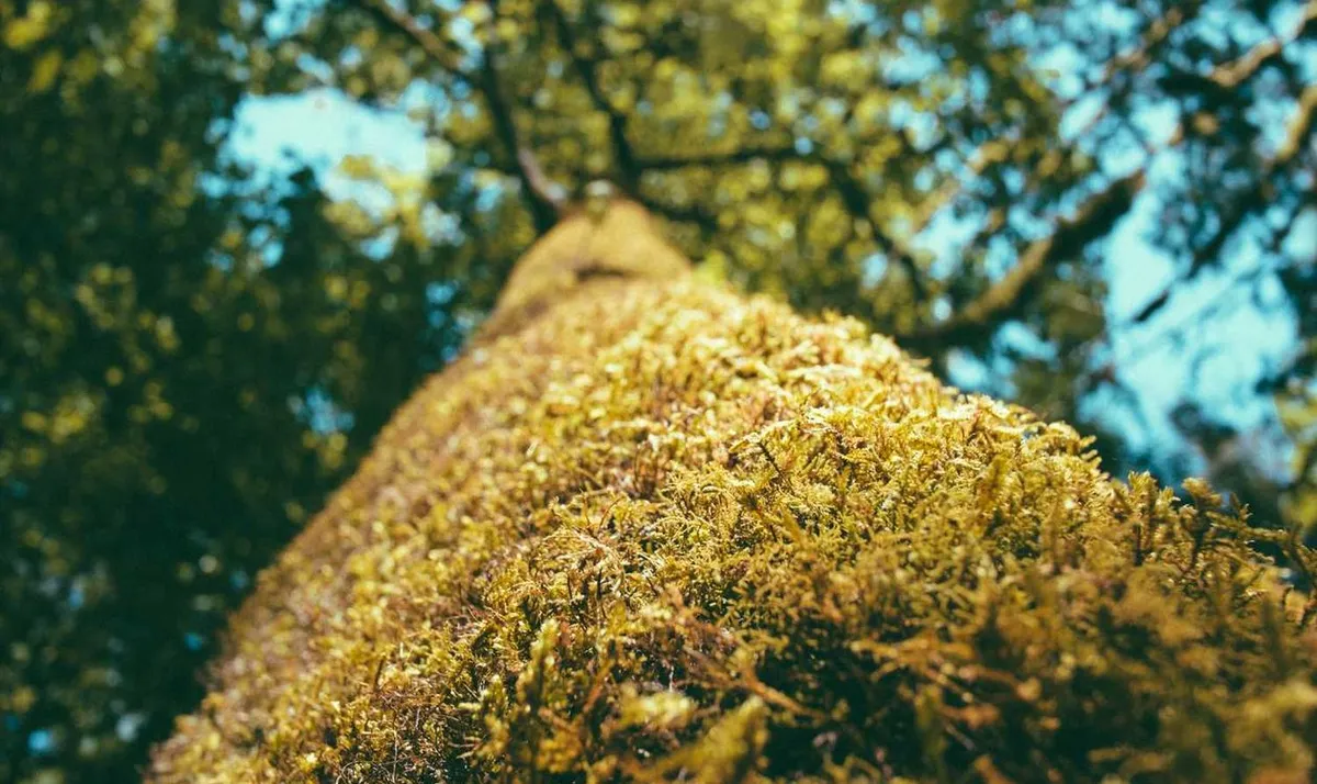 Mixflow.AI - The #1 AI Platform for everyone!