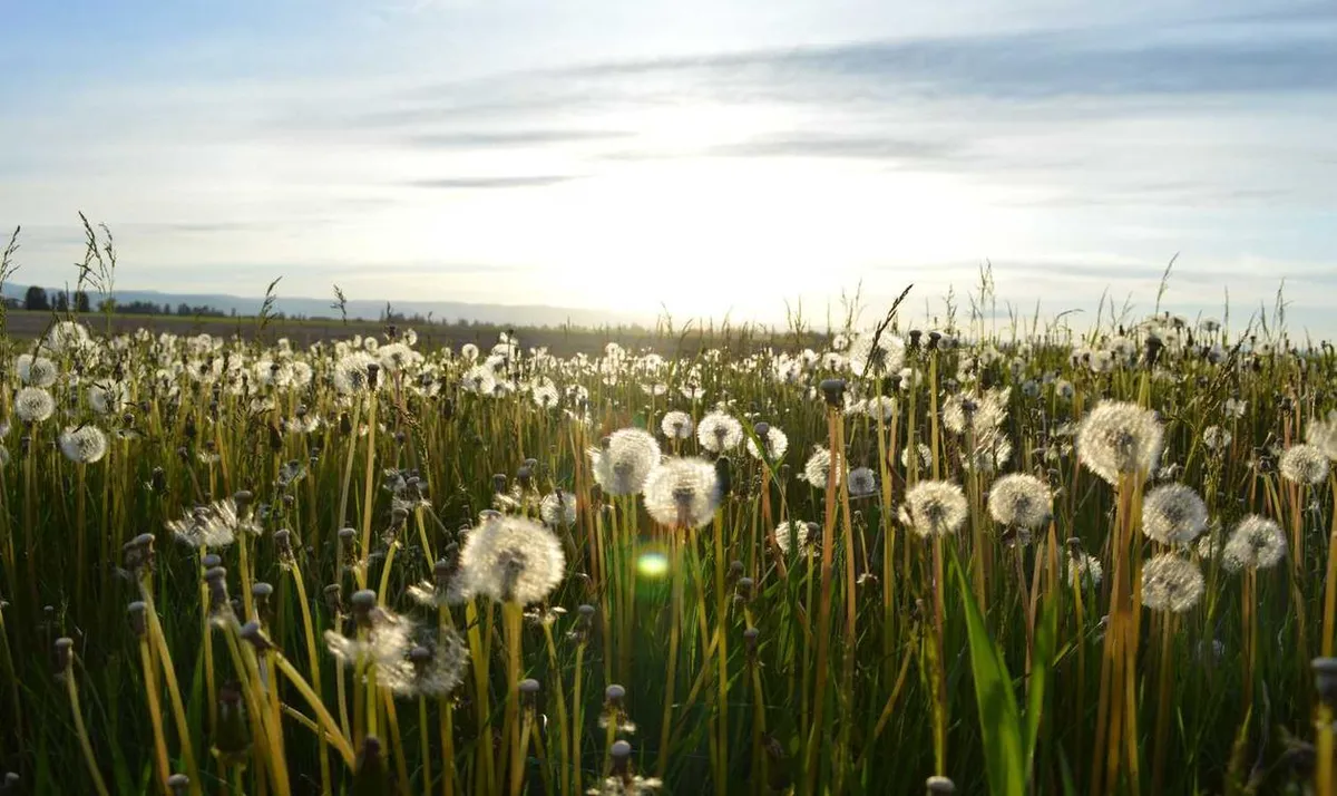 Mixflow.AI - The #1 AI Platform for everyone!