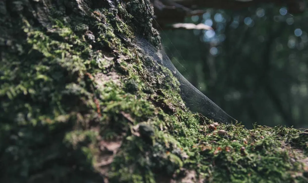 Mixflow.AI - The #1 AI Platform for everyone!