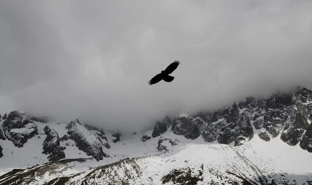 Mixflow.AI - The #1 AI Platform for everyone!