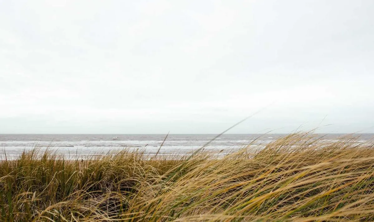 Mixflow.AI - The #1 AI Platform for everyone!