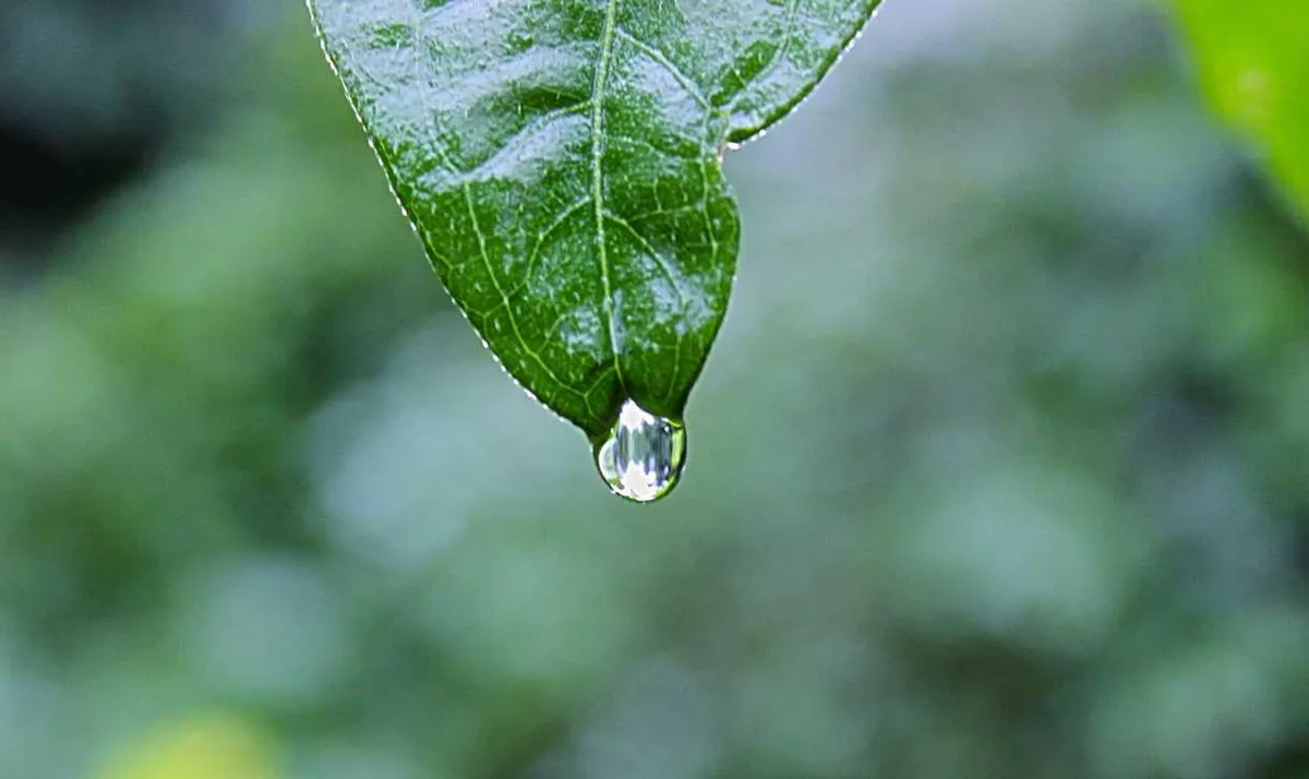 Mixflow.AI - The #1 AI Platform for everyone!